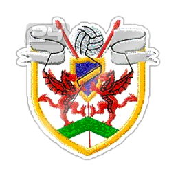 Wales - Bryntirion Athletic - Results, fixtures, tables, statistics ...